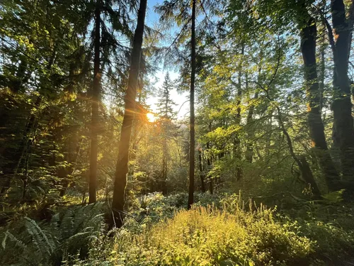 10 Best Cave Trails in Washington | AllTrails
