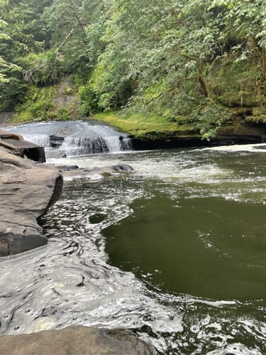 Best Hikes and Trails in Lane County Park | AllTrails