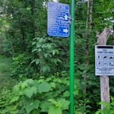 Northern Rail Trail, New Hampshire - 444 Reviews, Map | AllTrails