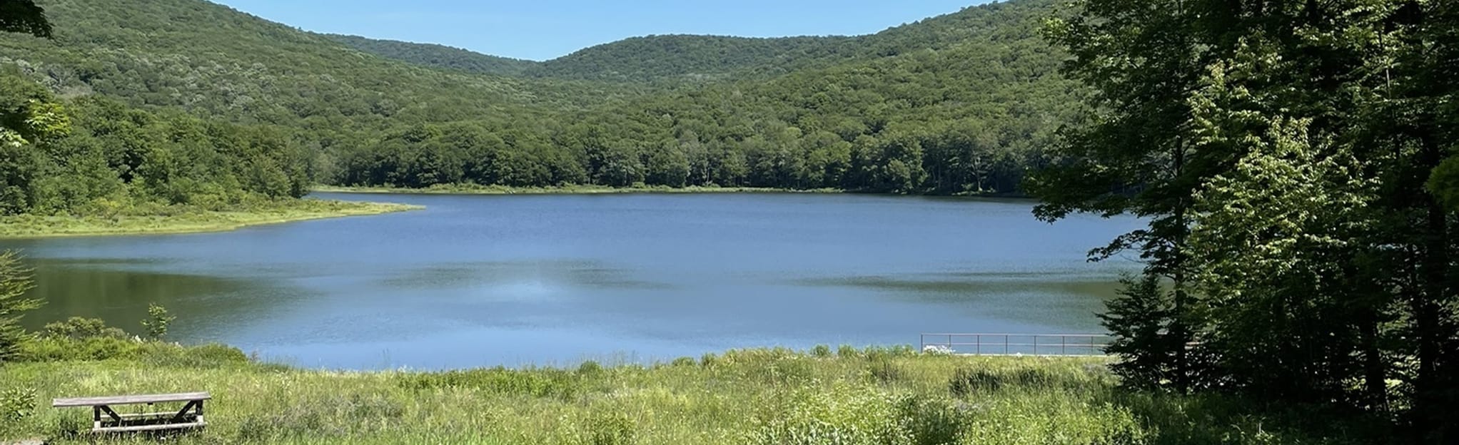 Alder Lake to Balsam Lake Mountain Fire Tower: 150 Reviews, Map - New ...
