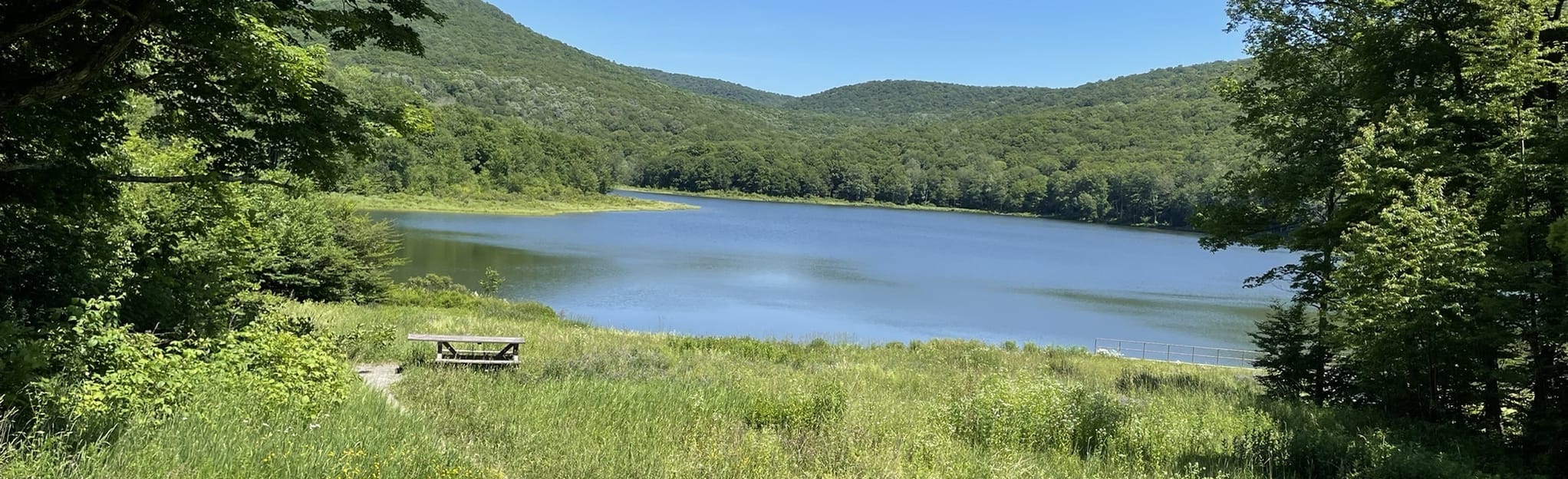 Alder Lake via Touch-Me-Not Trail, New York - 15 Reviews, Map | AllTrails