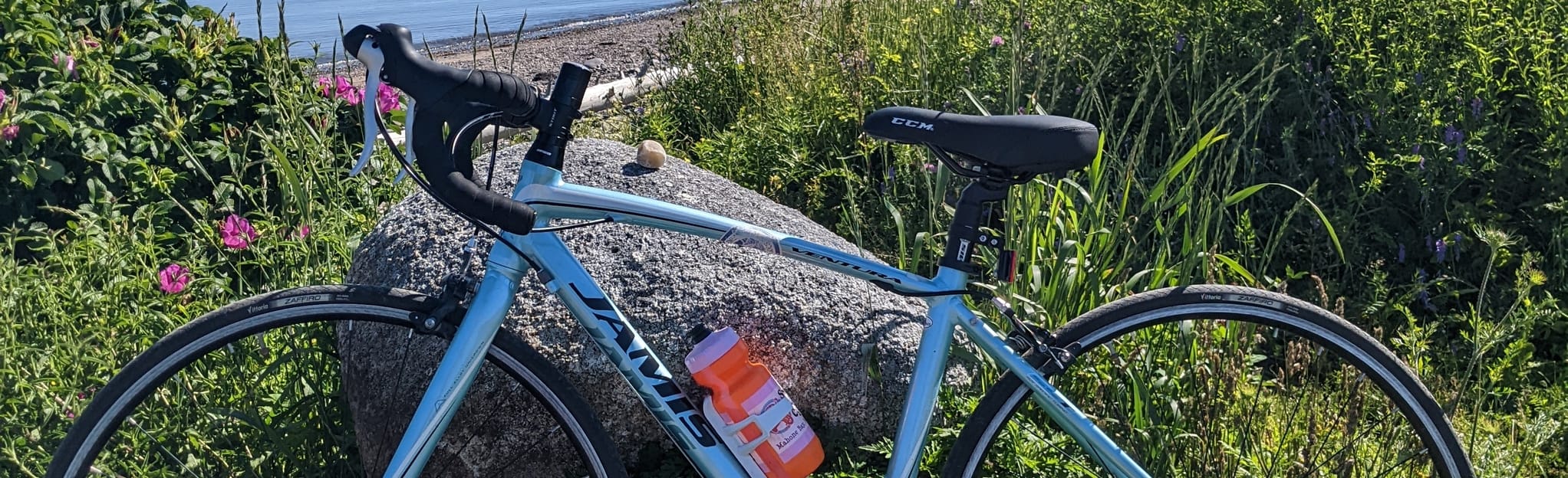 Sandy Cove Paddle | Map, Guide - Nova Scotia, Canada | AllTrails