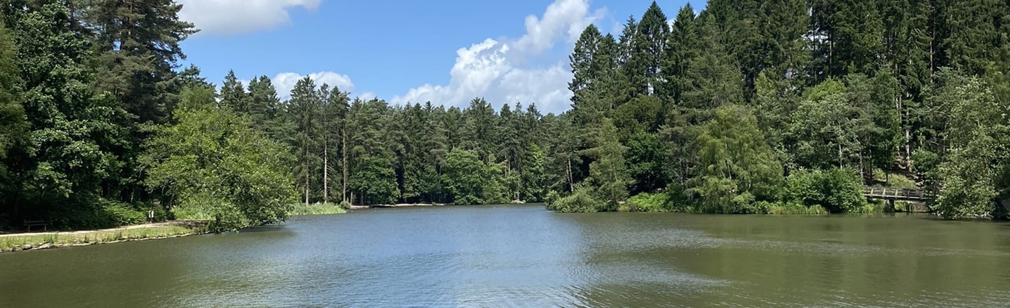 Mallards Pike Short Circular: 85 Reviews, Map - Gloucestershire ...