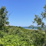 Sconset Bluff Path, Massachusetts - 245 Reviews, Map | AllTrails