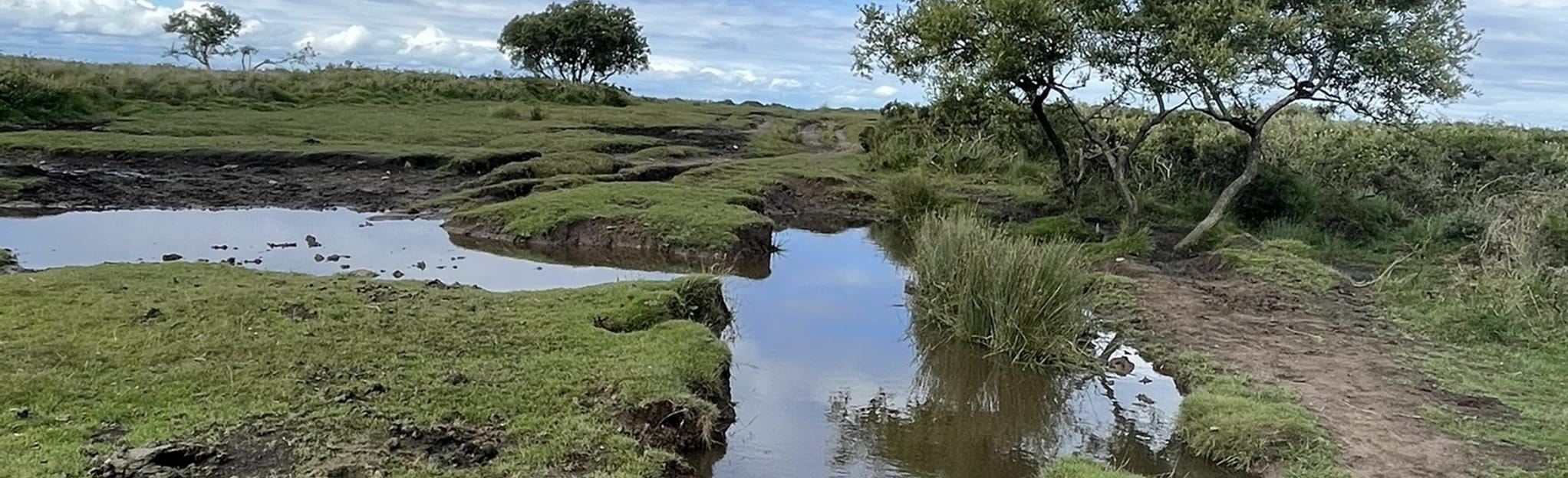 Rowberrow Circular: 10 Reviews, Map - Somerset, England | AllTrails