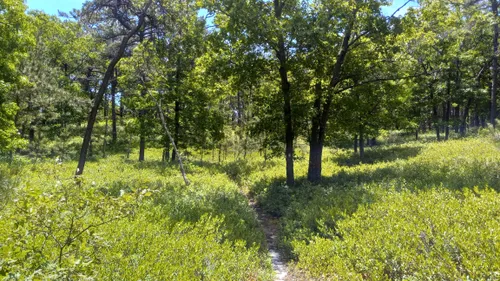 Best Hikes and Trails in David A. Sarnoff Preserve | AllTrails
