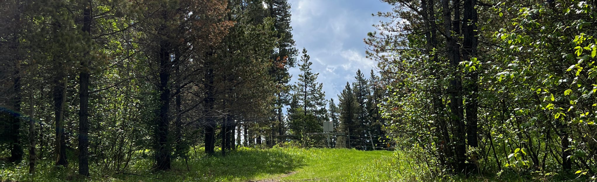 Iron Springs Trail and Boundary Ridge Loop: 47 Reviews, Map - Alberta ...