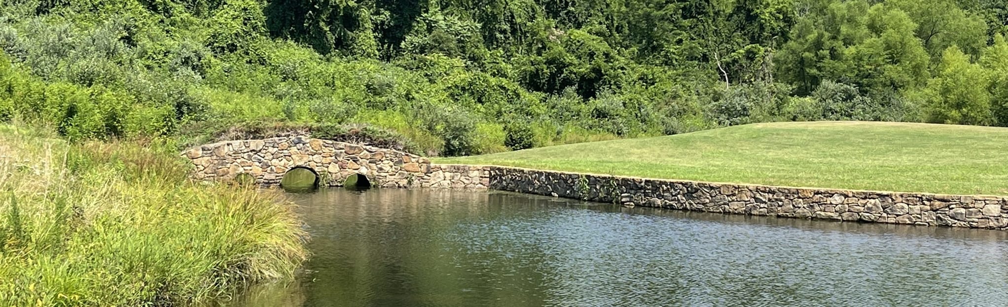 Saunders-Monticello Trail, Virginia - 1,334 Reviews, Map | AllTrails