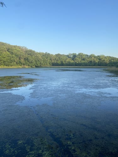 Best Hikes and Trails in Lake Wapello State Park | AllTrails