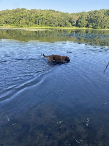 Best Hikes and Trails in Lake Wapello State Park | AllTrails