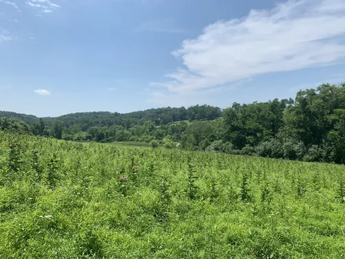 Best Hikes and Trails in Natural Lands' Wawa Preserve | AllTrails