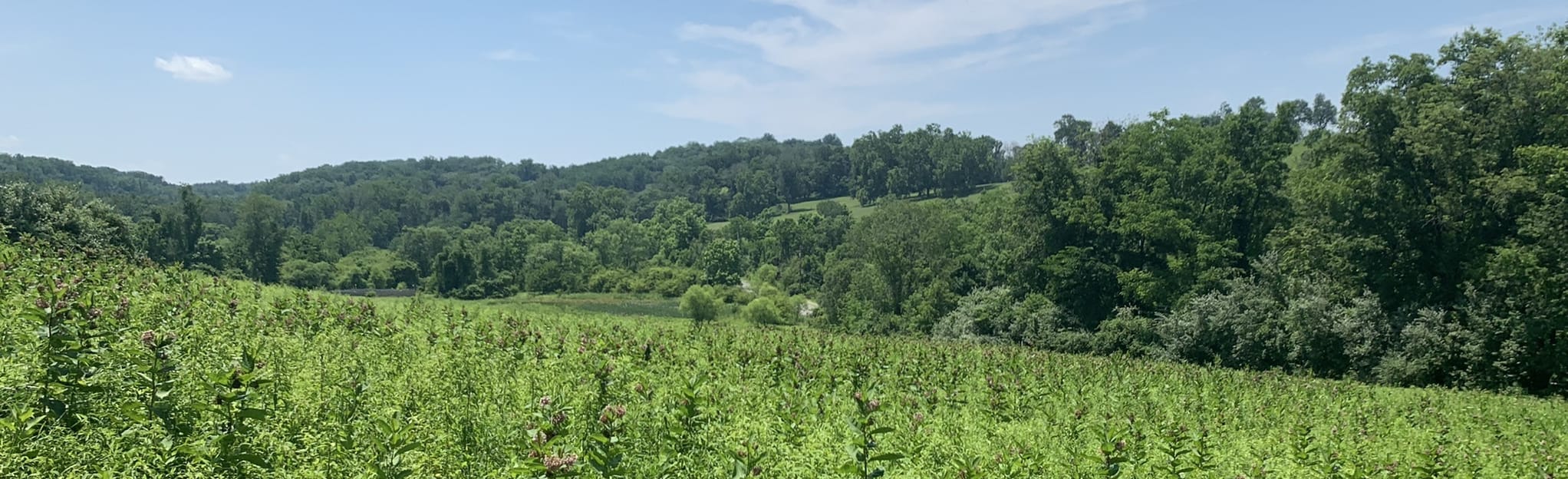 Rocky Run Trail to Darlington Trail Loop, Pennsylvania - 974 Reviews ...