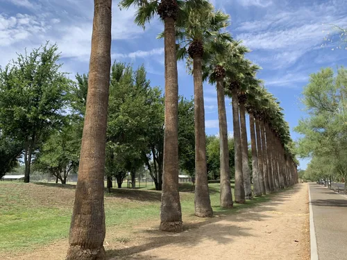 Best Hikes and Trails in Gene C. Reid Park | AllTrails
