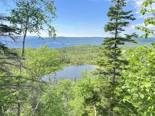 10 Best Trails and Hikes in Corner Brook | AllTrails