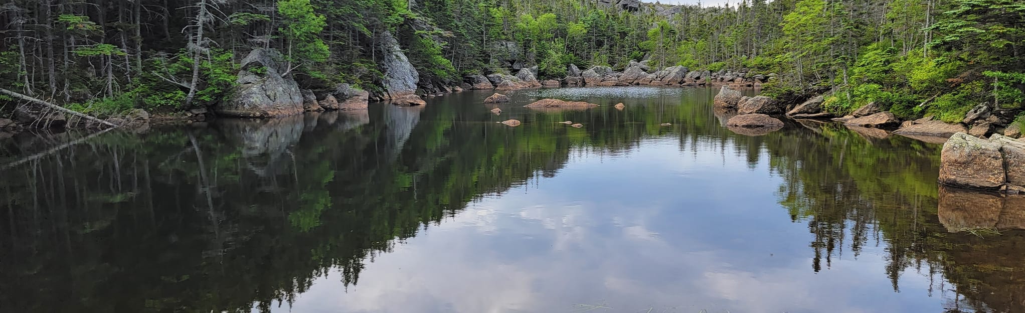 Carter Notch Trail, New Hampshire - 71 Reviews, Map | AllTrails