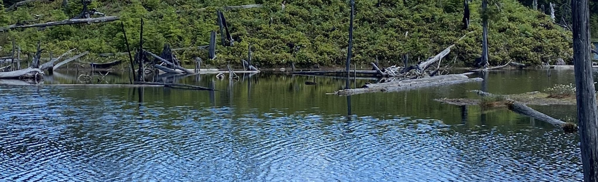 Hoover Lake Trail: 508 fotos - Colúmbia Britânica, Canadá | AllTrails