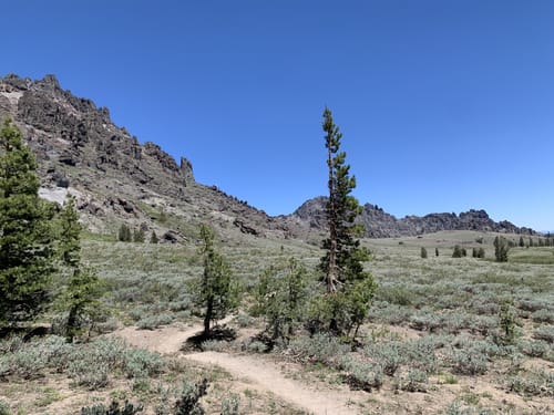 2023 Best 10 Backpacking Trails in Humboldt-Toiyabe National Forest ...