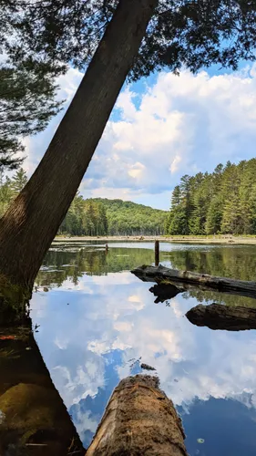 Best Forest Trails in Hoffman Notch Wilderness | AllTrails