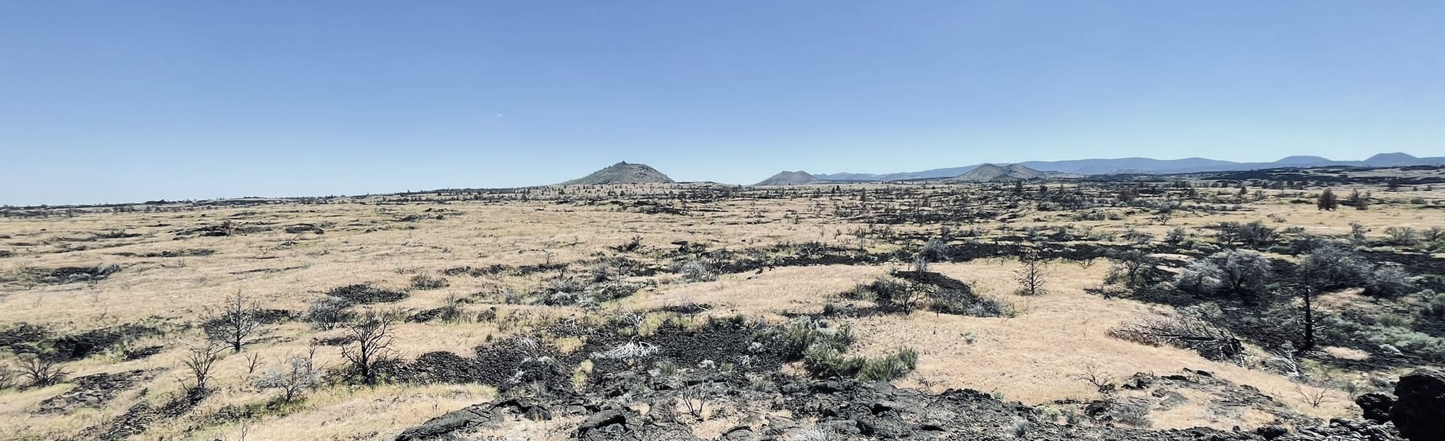 Black Crater Trail: 40 Reviews, Map - California | AllTrails