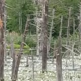 Monson Community Loop, New Hampshire - 276 Reviews, Map | AllTrails