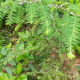 Monson Community Loop, New Hampshire - 276 Reviews, Map | AllTrails