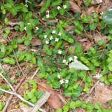 Monson Community Loop, New Hampshire - 276 Reviews, Map | AllTrails