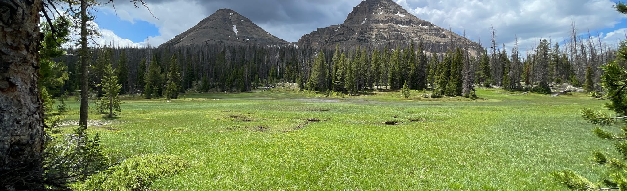 Cuberant Basin via Lofty Lake Loop and Cuberant Lake Trail: 43 Reviews ...