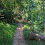 Fort Foote Civil War Ruins, Maryland - 180 Reviews, Map | AllTrails