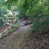Fort Foote Civil War Ruins, Maryland - 180 Reviews, Map | AllTrails