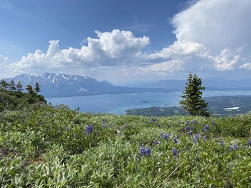 Atlin : les meilleures randonnées avec un lac en 2023 | AllTrails