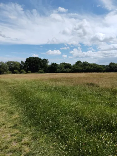 Best Hikes and Trails in Worcester Woods Country Park | AllTrails