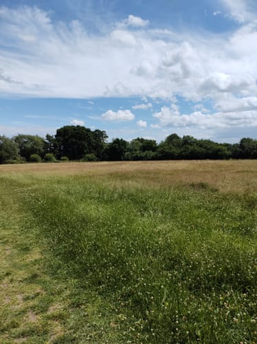 2023 Best Forest Trails in Worcester Woods Country Park | AllTrails