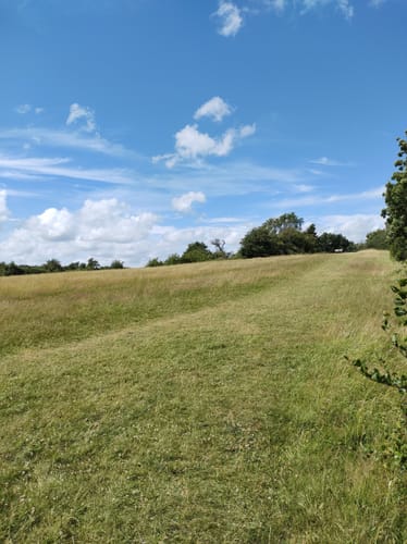 2023 Best Forest Trails in Worcester Woods Country Park | AllTrails