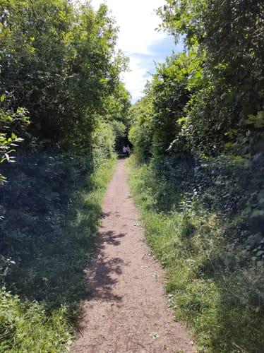 2023 Best Forest Trails in Worcester Woods Country Park | AllTrails