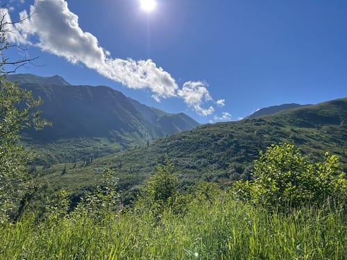 2023 Best 10 Trails and Hikes in Chugiak | AllTrails