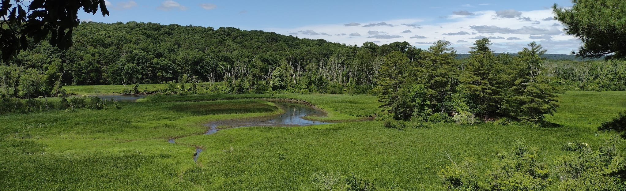Selden Creek Preserve, Connecticut - 200 Reviews, Map | AllTrails