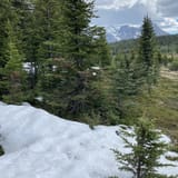 Elbow Loop Trail, Alberta, Canada - 177 Reviews, Map | AllTrails