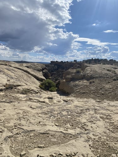 Best Hikes and Trails in Mentmore | AllTrails