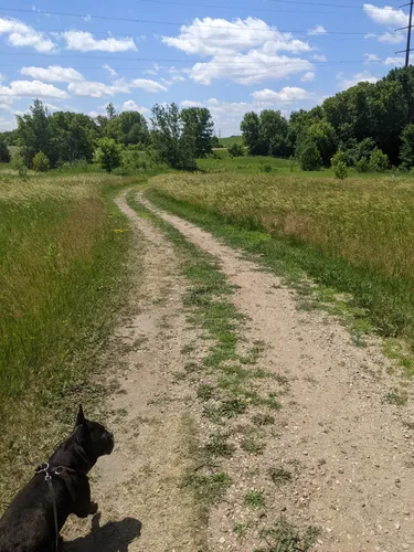 Best Hikes and Trails in Cedar Lake Farm Regional Park | AllTrails