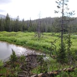 Two Ocean Pass Loop, Wyoming - 12 Reviews, Map | AllTrails