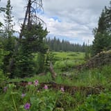 Two Ocean Pass Loop, Wyoming - 12 Reviews, Map | AllTrails