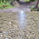 Two Ocean Pass Loop, Wyoming - 12 Reviews, Map | AllTrails