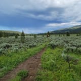 Two Ocean Pass Loop, Wyoming - 12 Reviews, Map | AllTrails