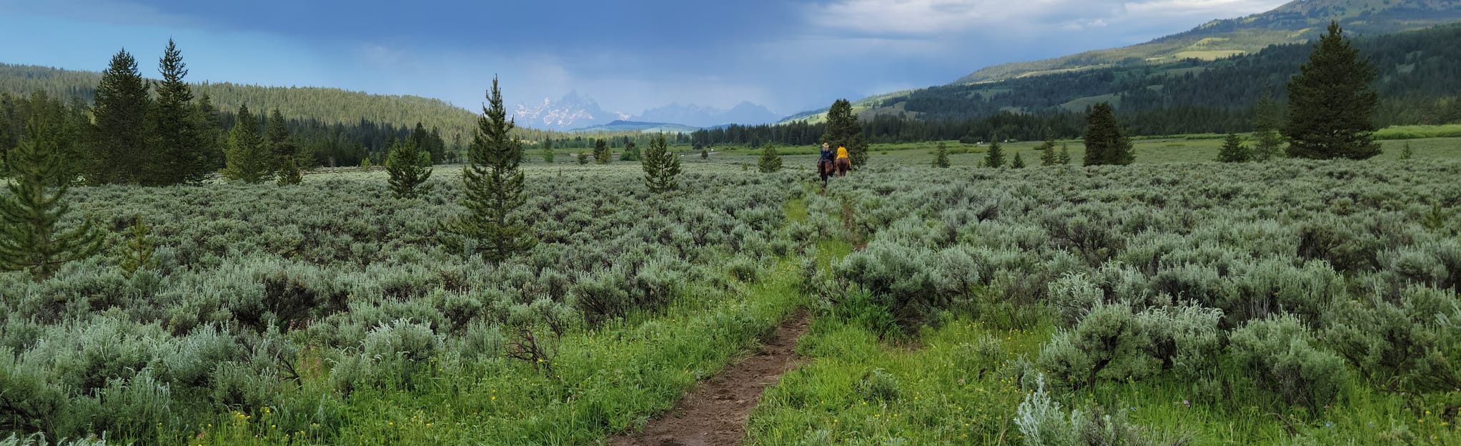 Two Ocean Pass Loop - Wyoming | AllTrails