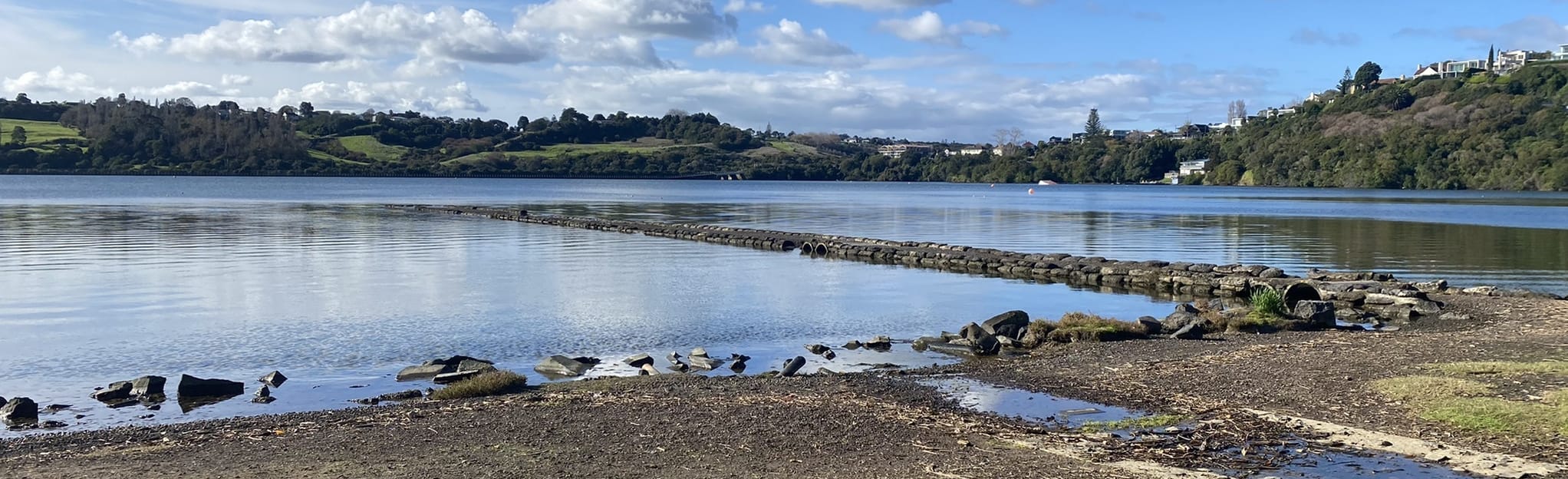Orakei Basin Walkway, Auckland, New Zealand - 264 Reviews, Map | AllTrails