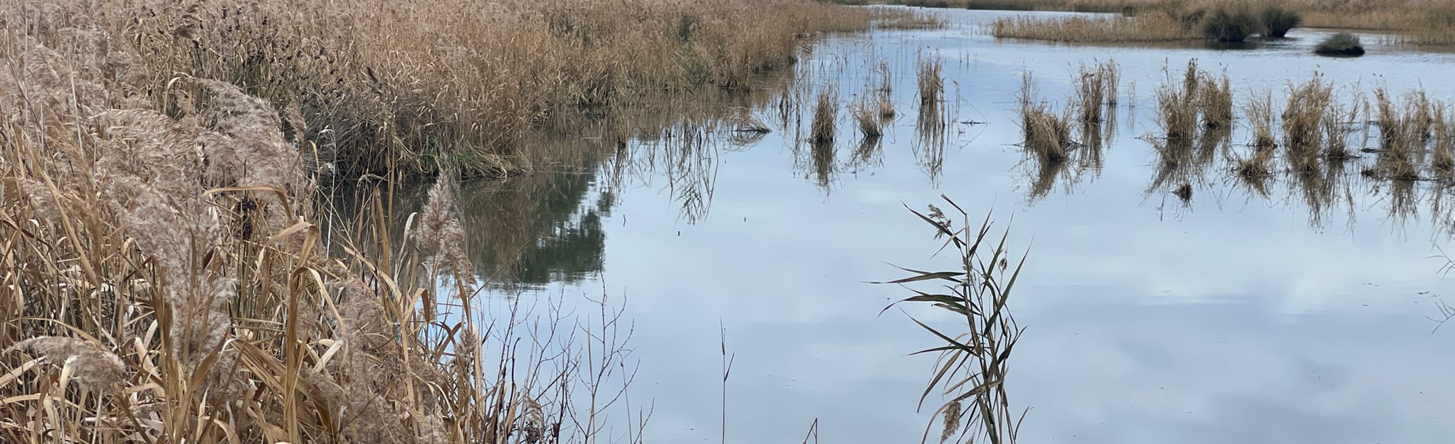 Skeleton Creek Trail to Cheetham Wetlands | Map, Guide - Victoria ...