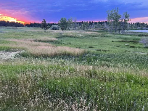 Best Hikes and Trails in Colstrip | AllTrails