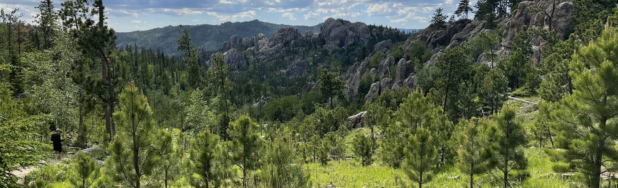Little Devils Tower Spur Trail: 1464 Reviews, Map - South Dakota ...