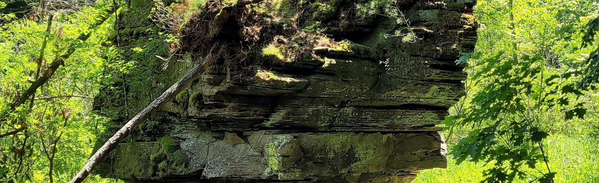 Rocky Arbor Loop: 341 Reviews, Map - Wisconsin | AllTrails