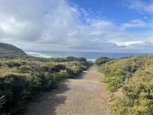 10 Best Waterfall Trails in Newcastle | AllTrails